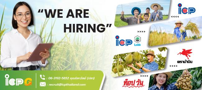 หางาน สมัครงาน งาน ตำแหน่ง เจ้าหน้าที่ส่งเสริมการขาย (ICPL สุรวงศ์ ...